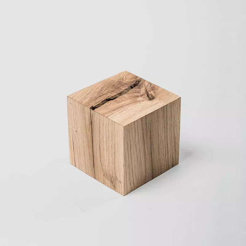 Litho - The Multipurpose Elementor WordPress Theme – Home design agency